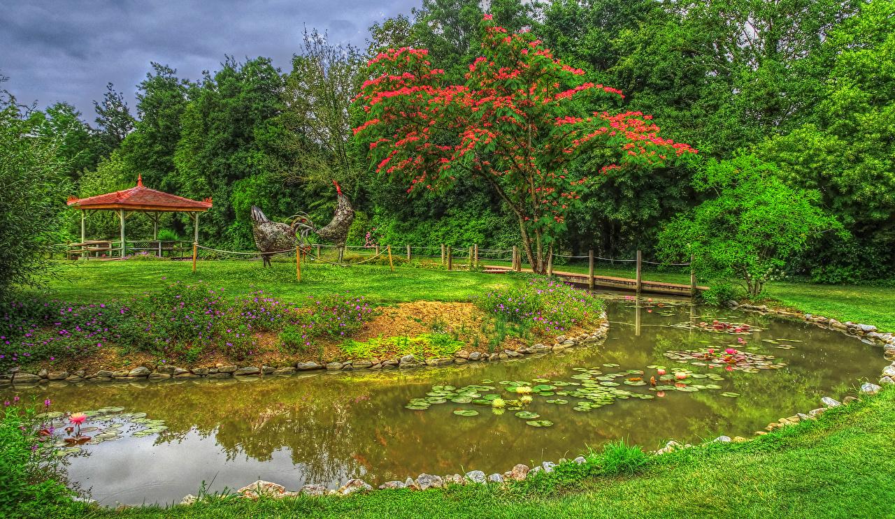 Birds and Trees Wallpapers - Top Free Birds and Trees Backgrounds ...