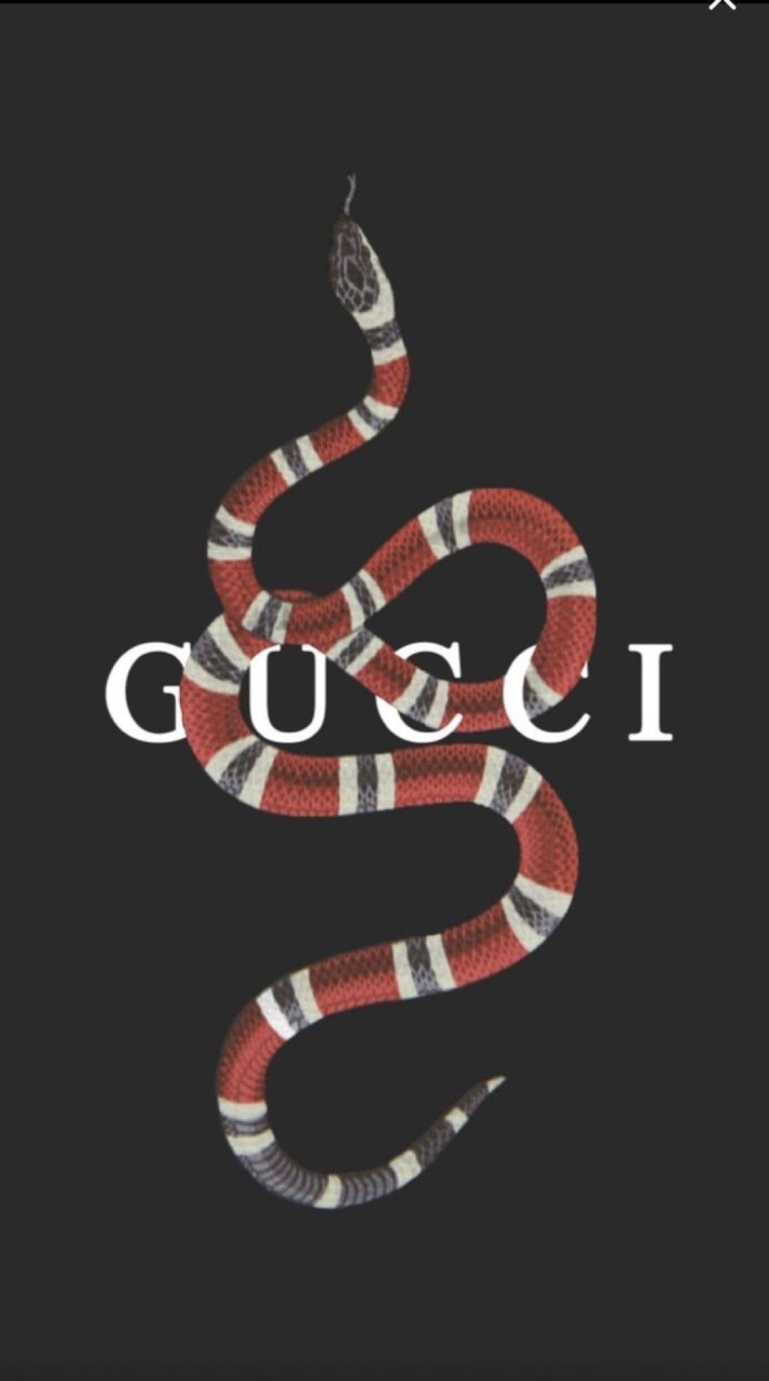 Gucci Snake Logo Wallpapers - Top Free Gucci Snake Logo Backgrounds ...