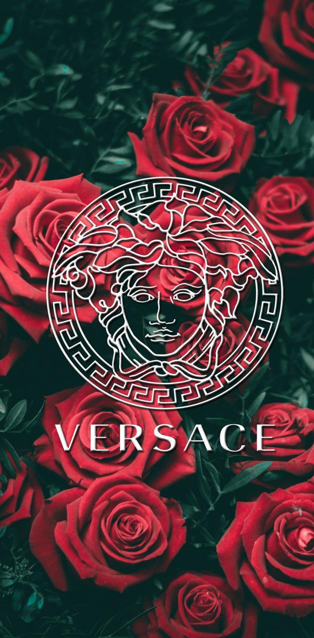 Versace Medusa Wallpapers - Top Free Versace Medusa Backgrounds - WallpaperAccess