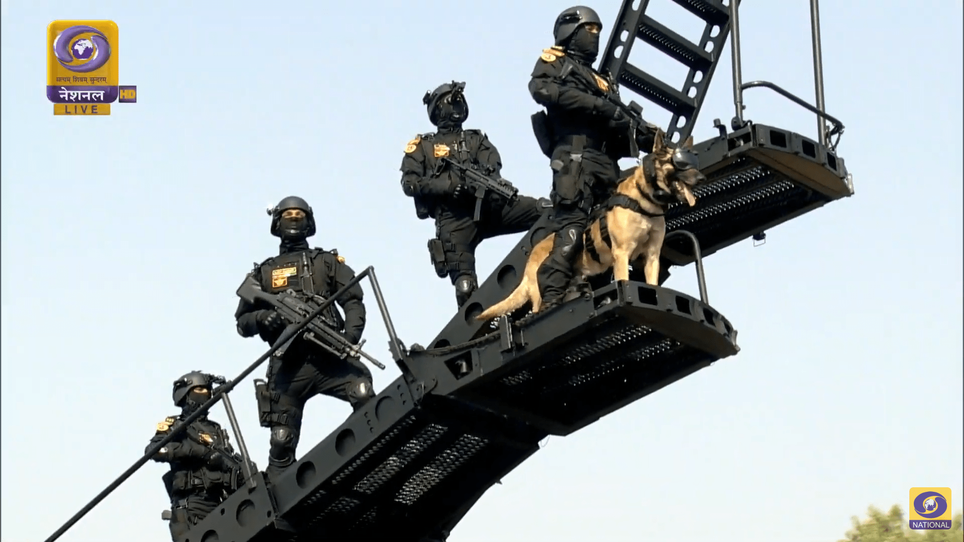 Nsg Commando Wallpapers - Top Free Nsg Commando Backgrounds - WallpaperAccess