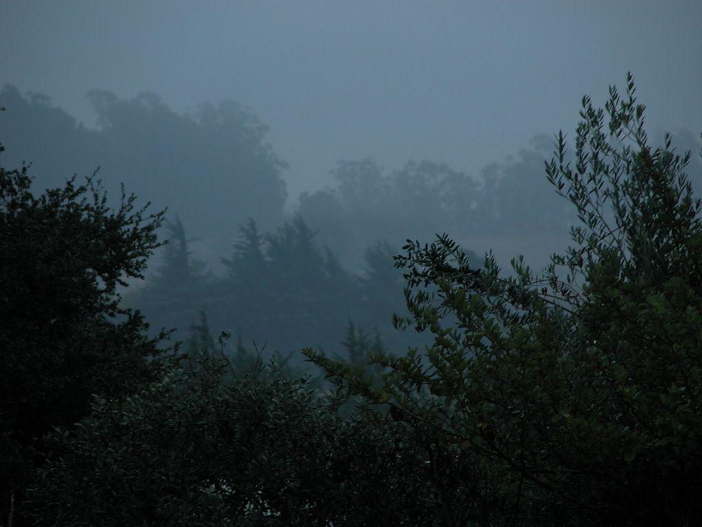 Rainy Day Wallpapers - Top Free Rainy Day Backgrounds - WallpaperAccess