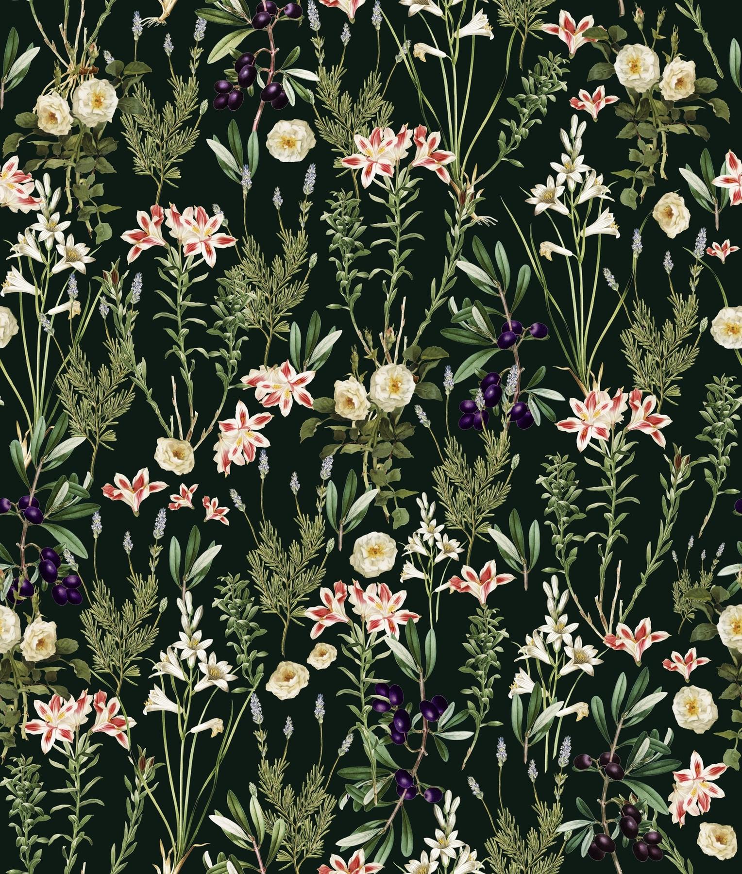 Dark Botanical Wallpapers - Top Free Dark Botanical Backgrounds ...