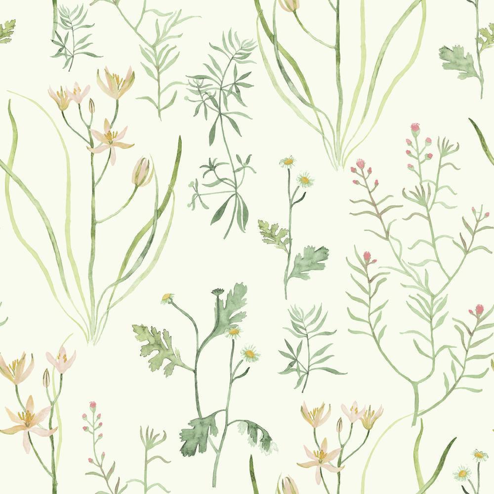 Botanical Laptop Wallpapers - Top Free Botanical Laptop Backgrounds ...