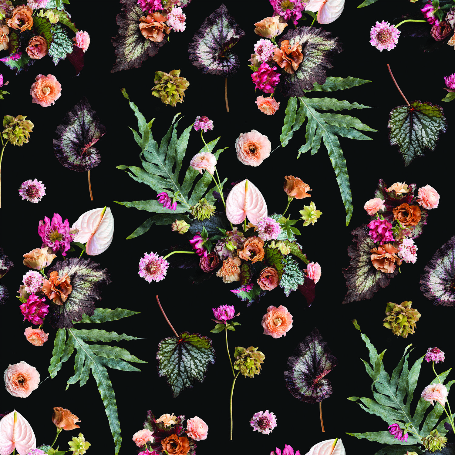 Botanical Laptop Wallpapers - Top Free Botanical Laptop Backgrounds ...