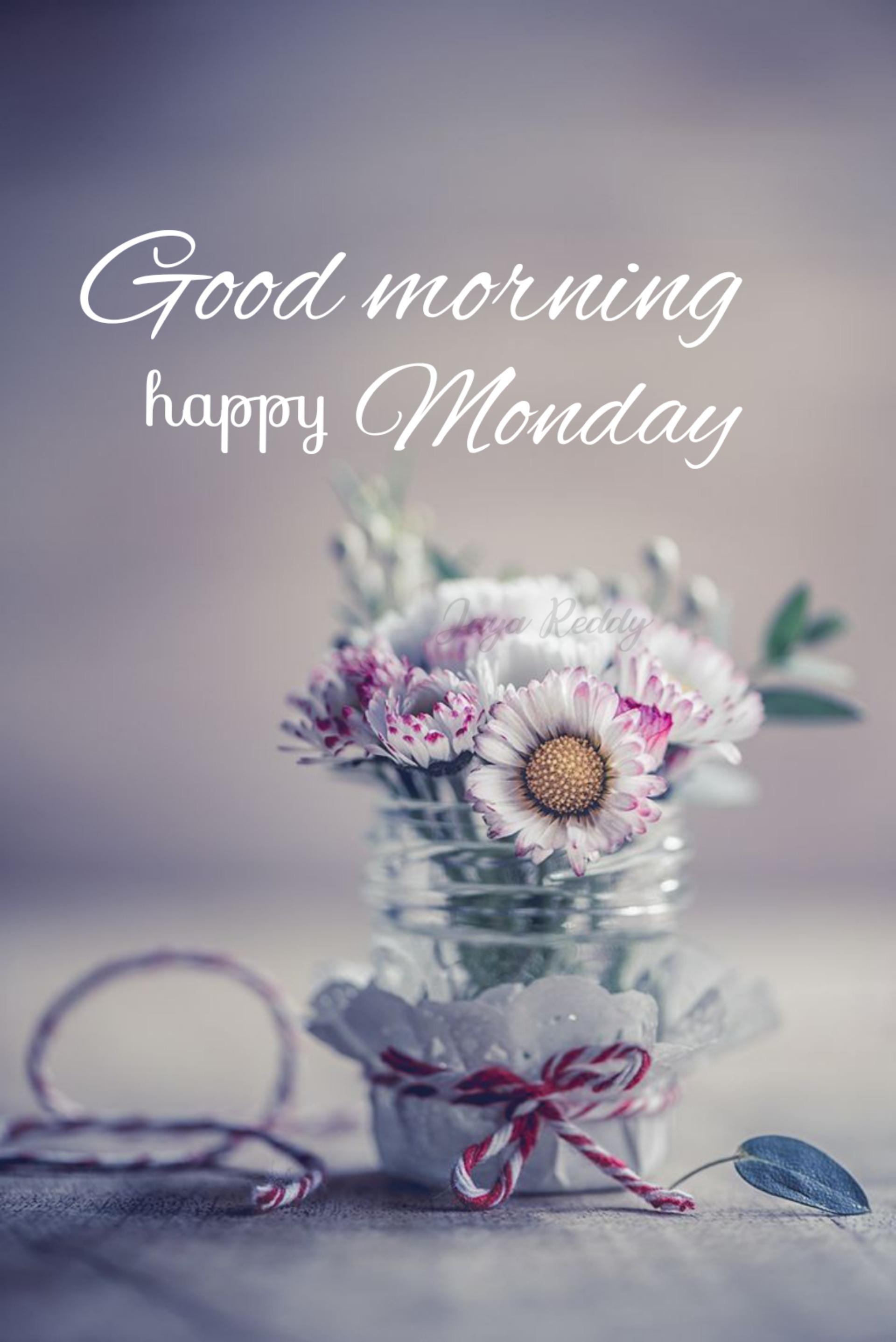 Cute Monday Wallpapers - Top Free Cute Monday Backgrounds - WallpaperAccess