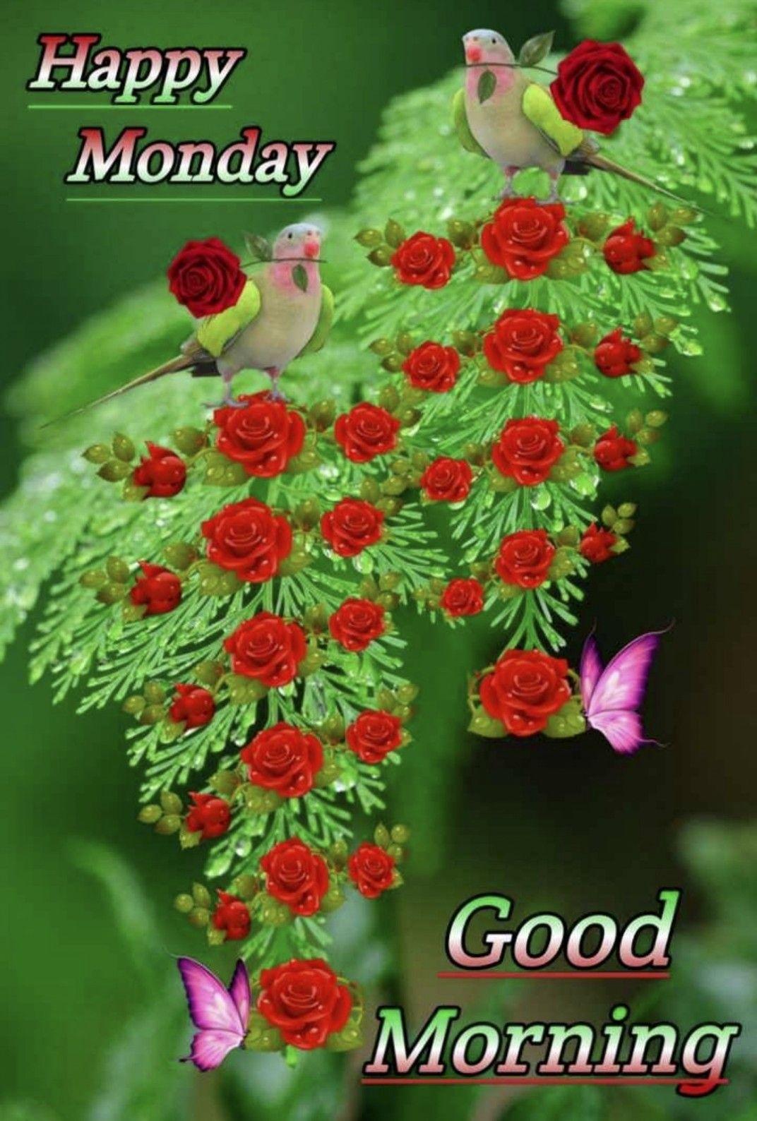 Cute Monday Wallpapers - Top Free Cute Monday Backgrounds - WallpaperAccess