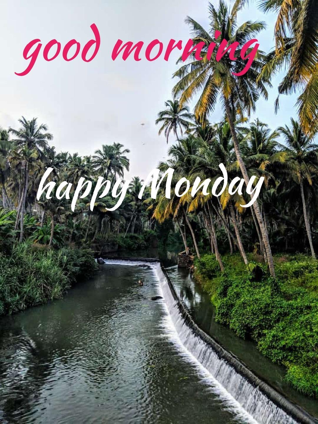 Cute Monday Wallpapers - Top Free Cute Monday Backgrounds - WallpaperAccess