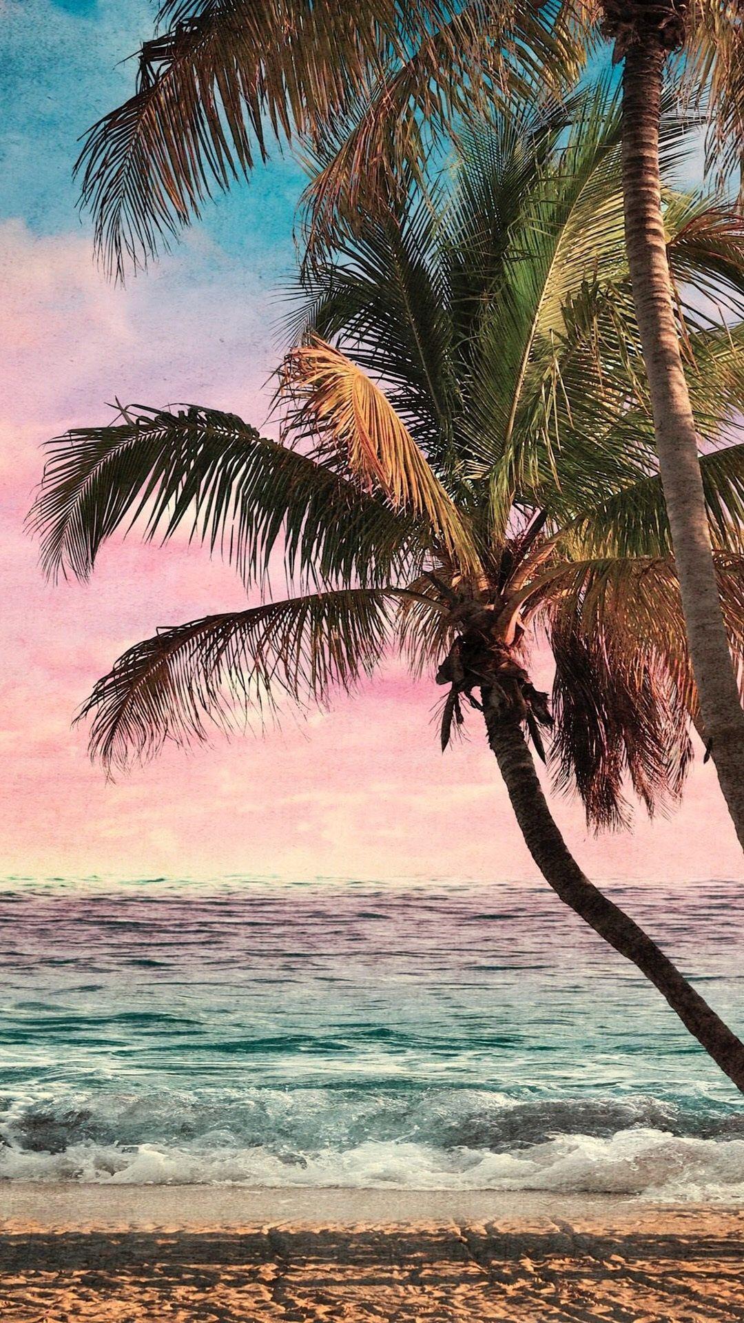 Summer Beach Palm Tree Wallpapers - Top Free Summer Beach Palm Tree ...
