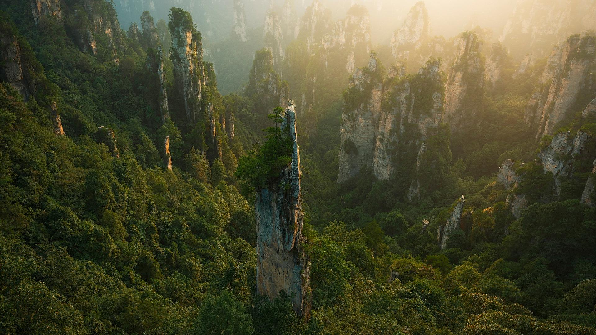 Chinese Forest Wallpapers - Top Free Chinese Forest Backgrounds ...