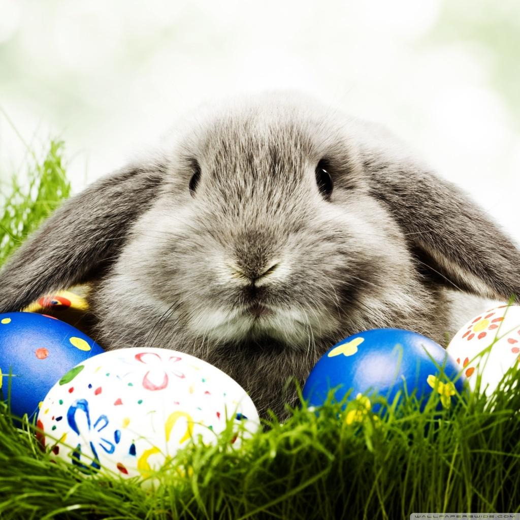 Easter iPad Wallpapers - Top Free Easter iPad Backgrounds - WallpaperAccess