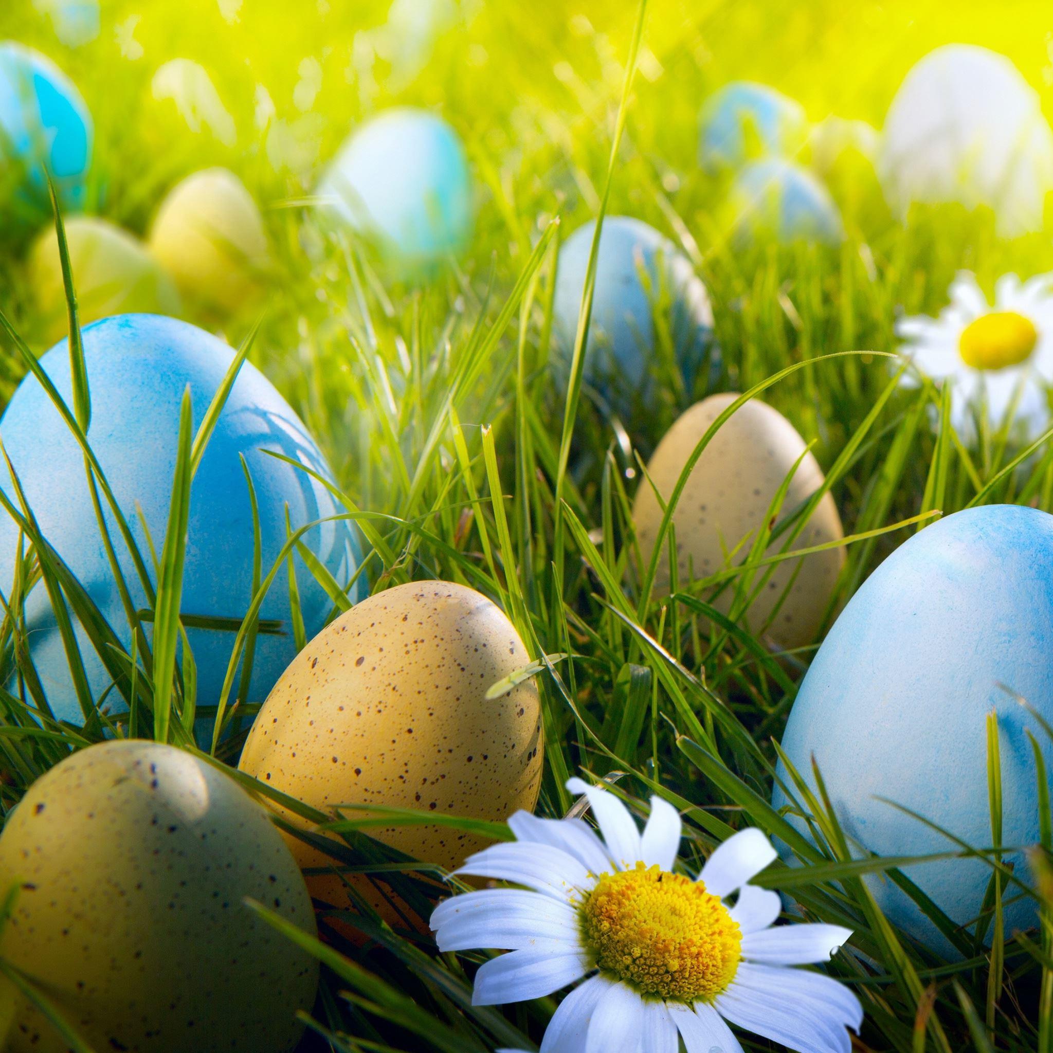 Easter iPad Wallpapers - Top Free Easter iPad Backgrounds - WallpaperAccess