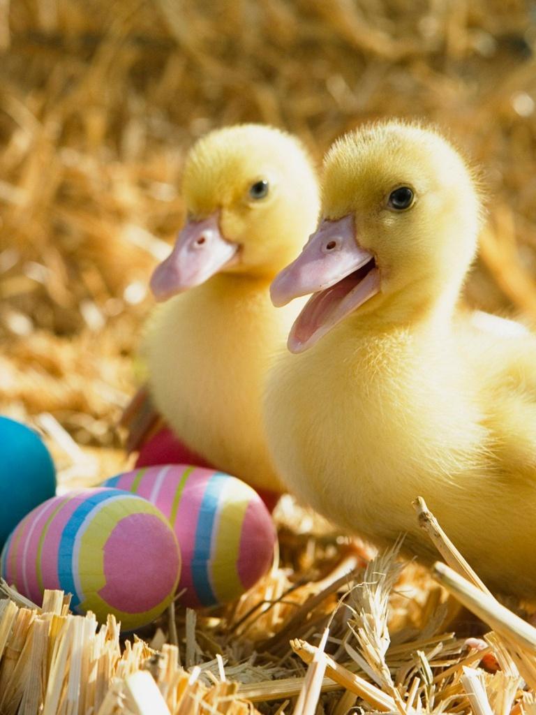 Easter iPad Wallpapers - Top Free Easter iPad Backgrounds - WallpaperAccess