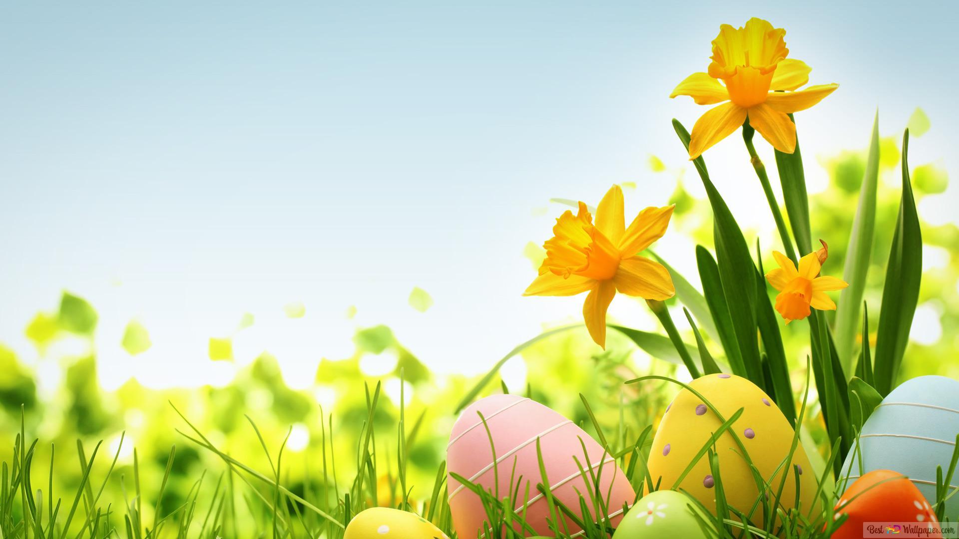 Easter iPad Wallpapers - Top Free Easter iPad Backgrounds - WallpaperAccess