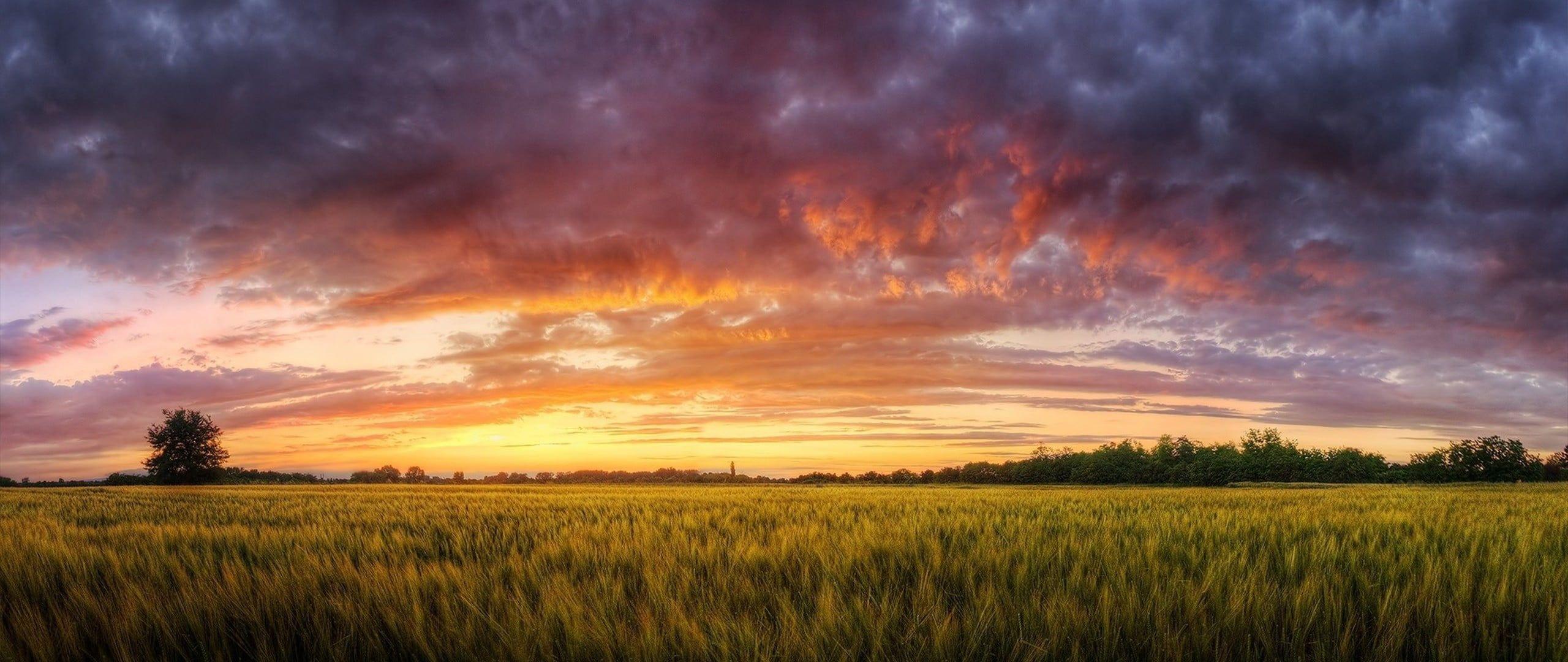 Ultra Wide Landscape Wallpapers - Top Free Ultra Wide Landscape ...