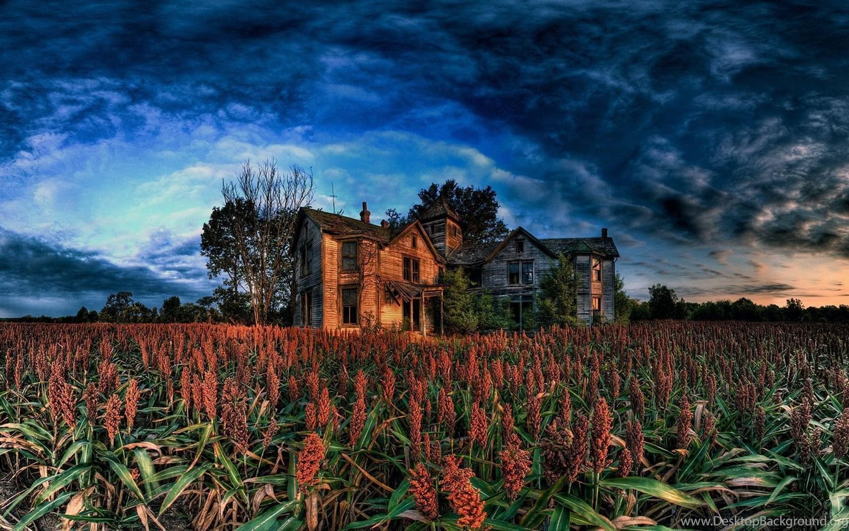 2K Wide Wallpapers - Top Free 2K Wide Backgrounds - WallpaperAccess