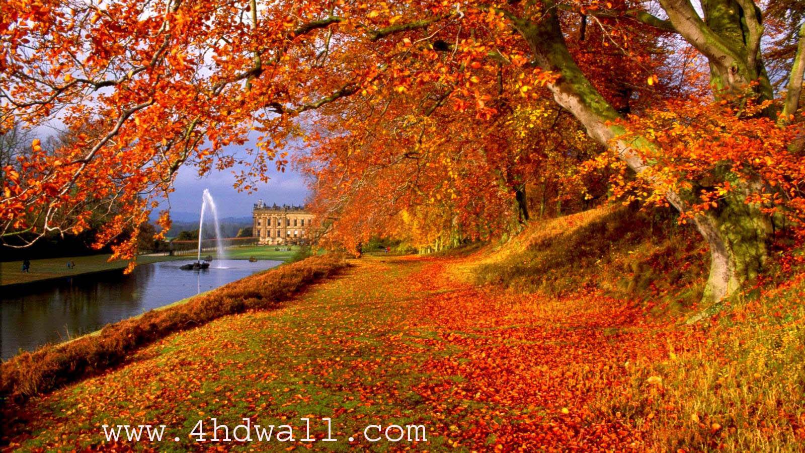 Autumn HD Wallpapers - Top Free Autumn HD Backgrounds - WallpaperAccess