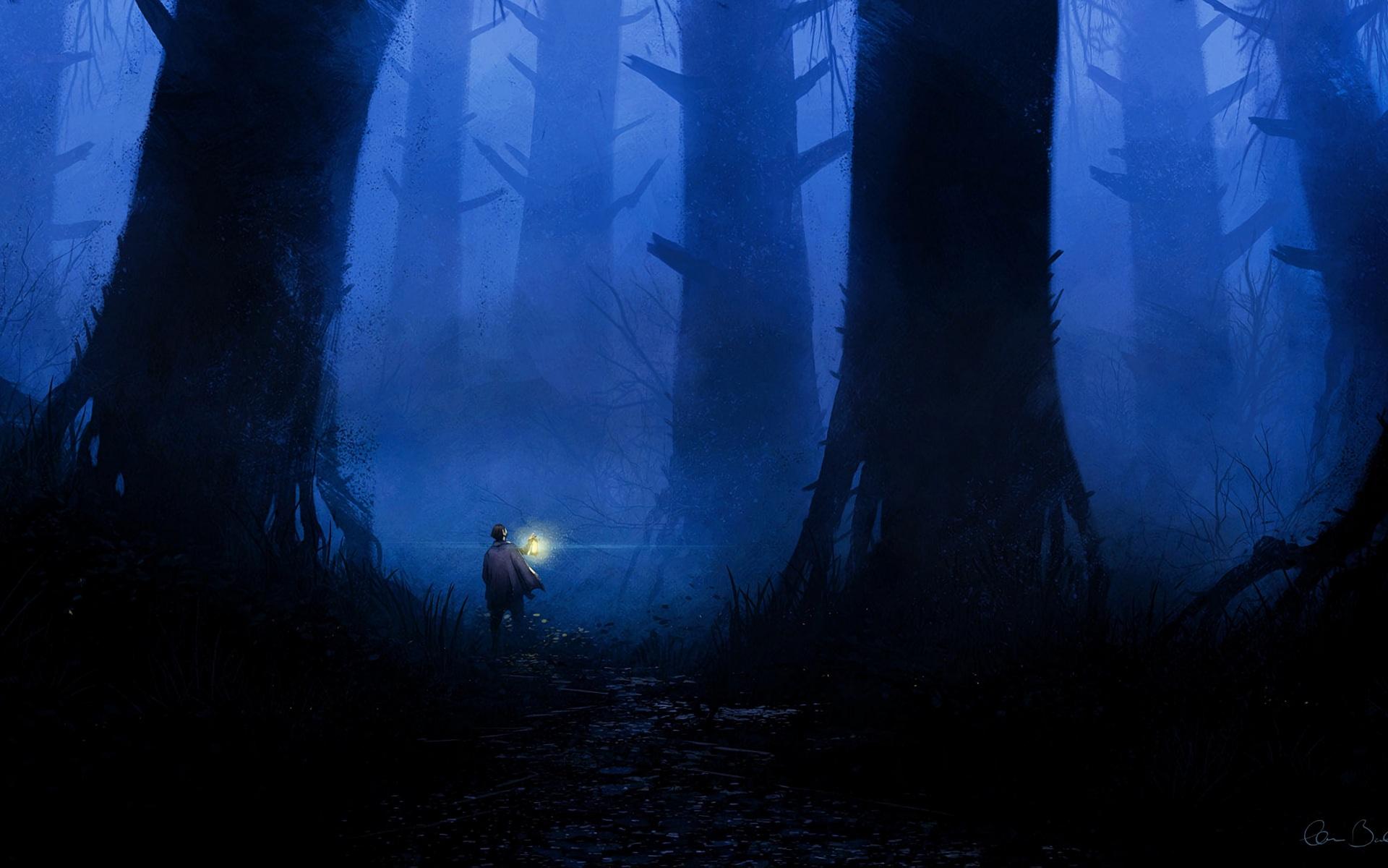 Blue Forest 4K Wallpapers - Top Free Blue Forest 4K Backgrounds ...