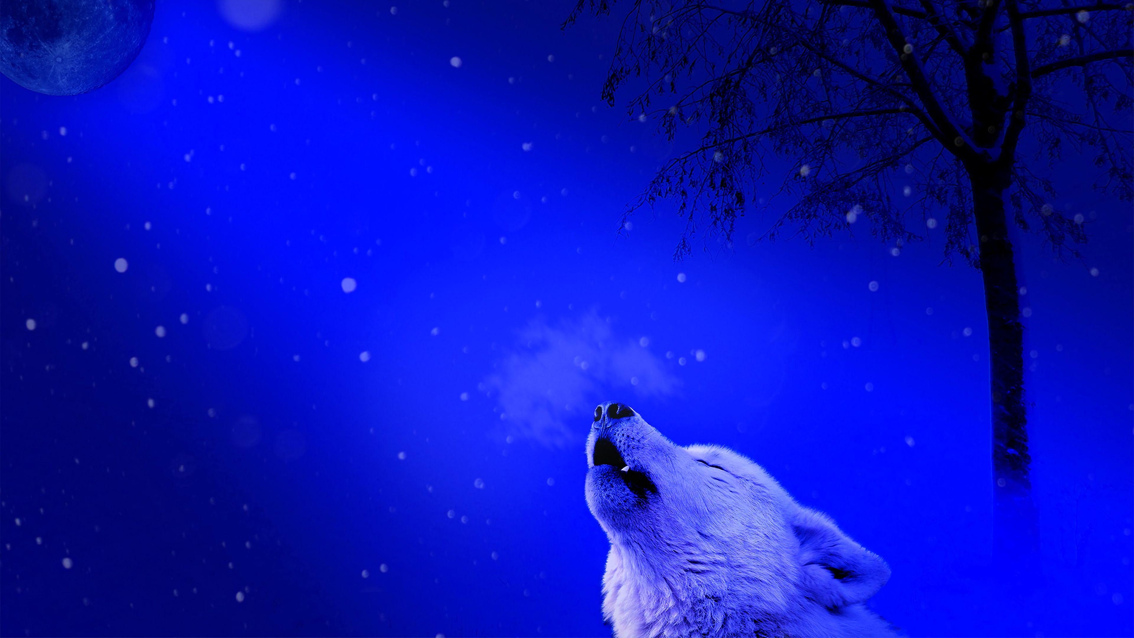 Blue Howling Lion 4K Wallpapers - Top Free Blue Howling Lion 4K ...