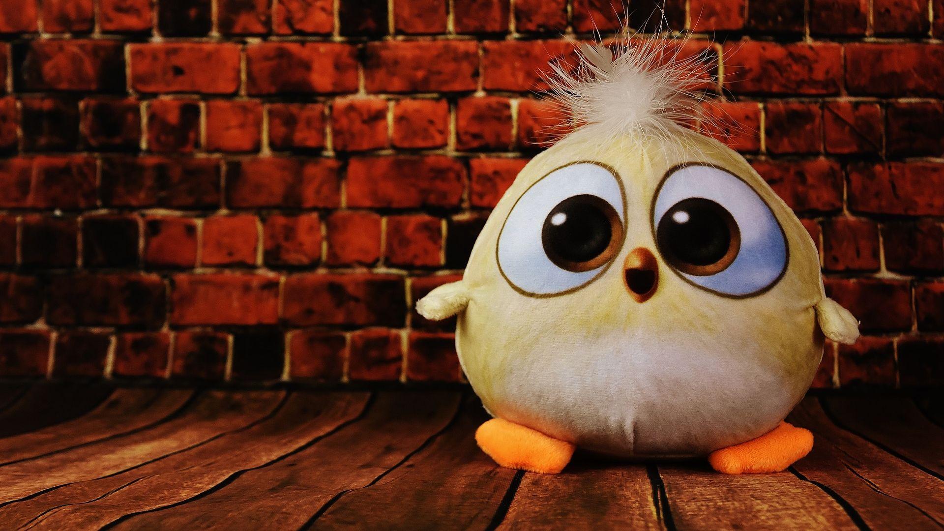 Angry Birds Funny Wallpapers - Top Free Angry Birds Funny Backgrounds ...