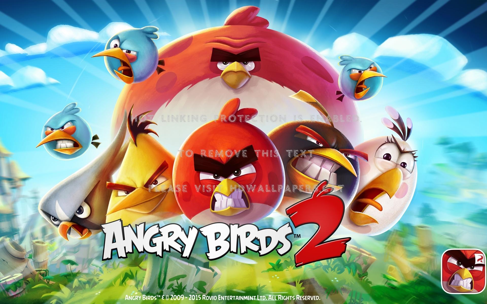 Angry Birds Funny Wallpapers - Top Free Angry Birds Funny Backgrounds ...