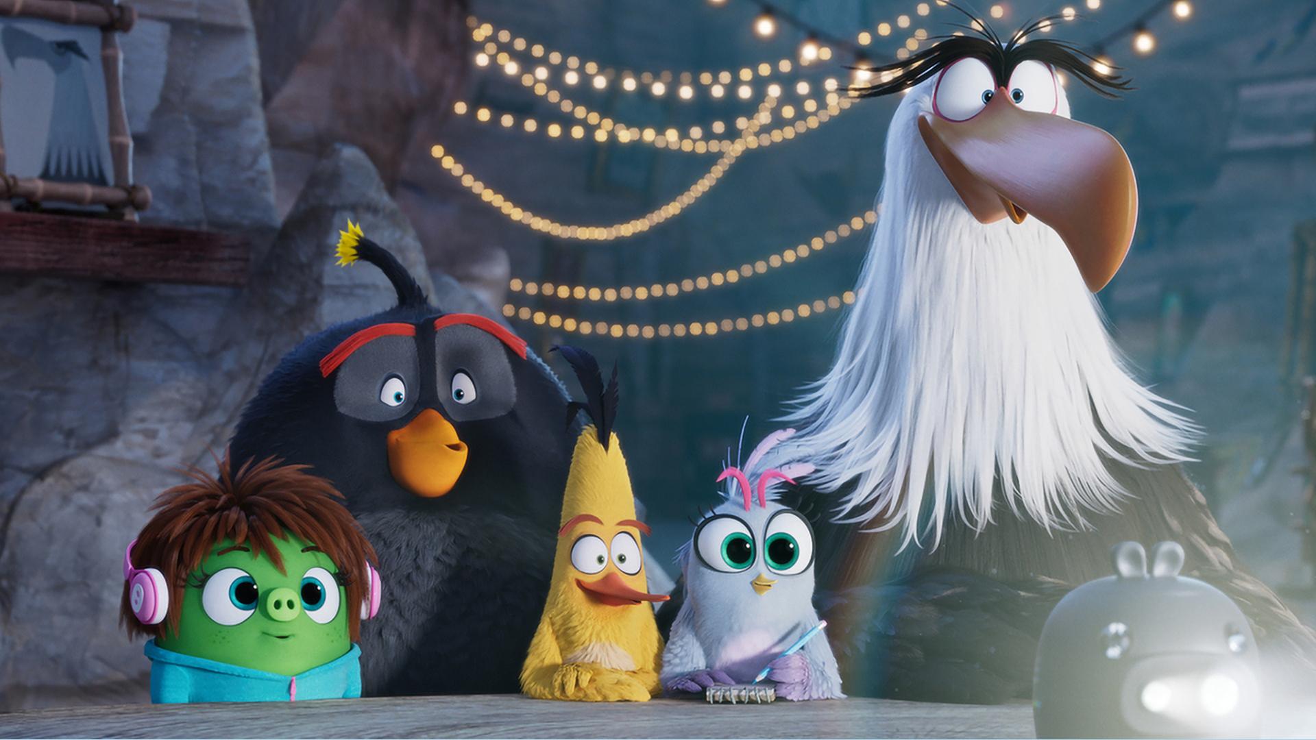 Angry Birds Funny Wallpapers - Top Free Angry Birds Funny Backgrounds ...