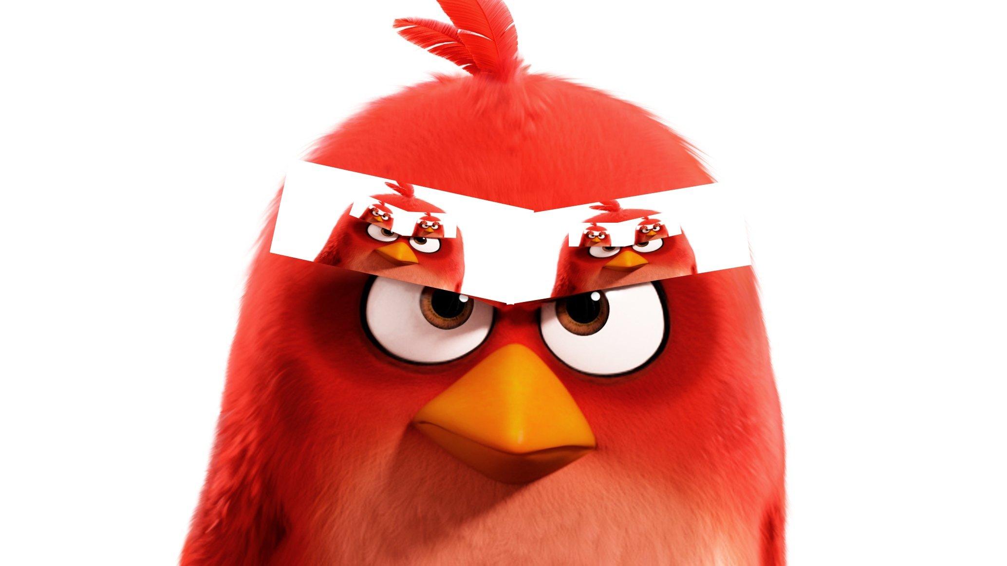 Angry Birds Funny Wallpapers - Top Free Angry Birds Funny Backgrounds ...