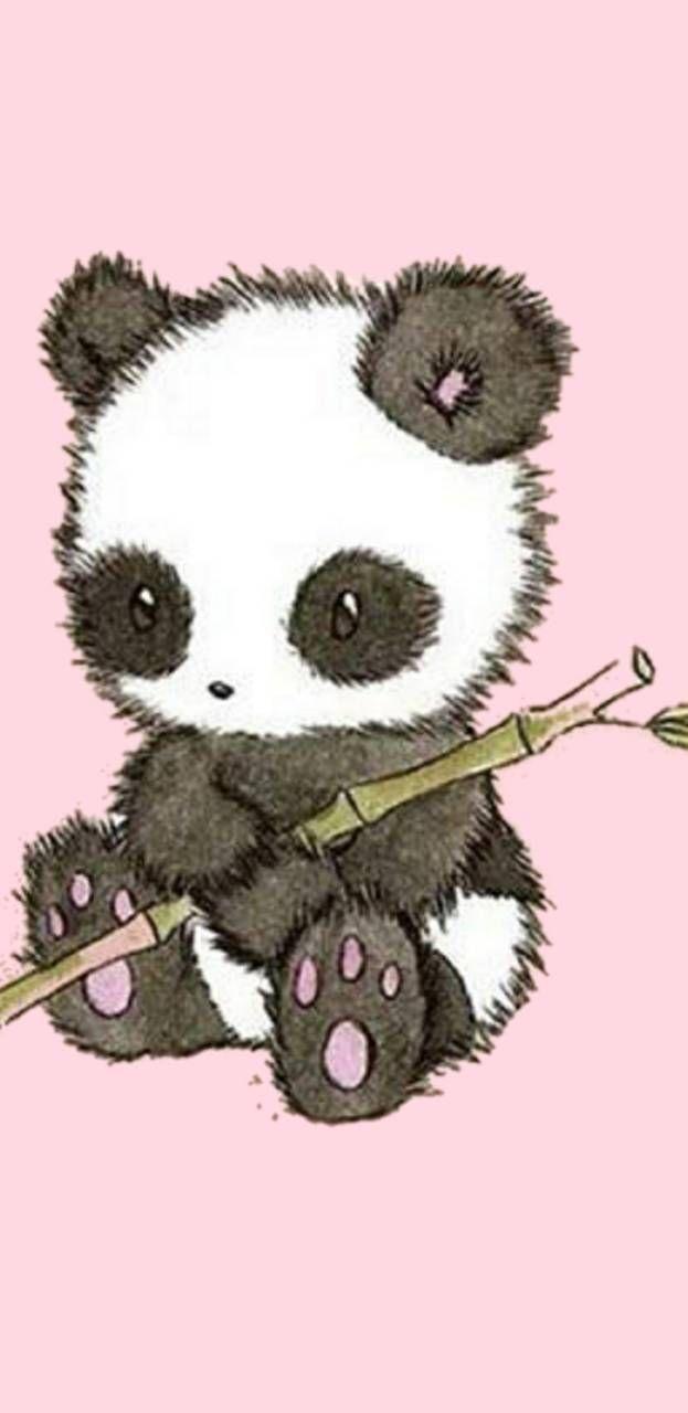 Panda Drawing Wallpapers - Top Free Panda Drawing Backgrounds ...