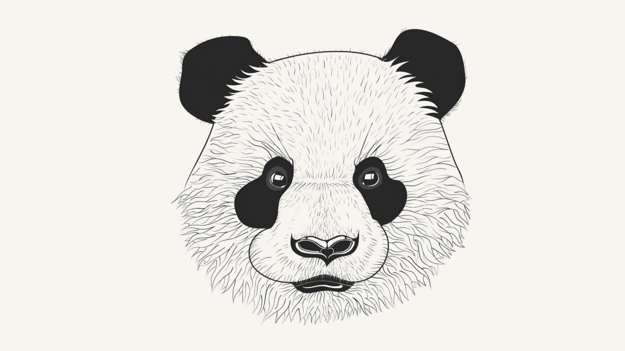 Panda Drawing Wallpapers - Top Free Panda Drawing Backgrounds ...