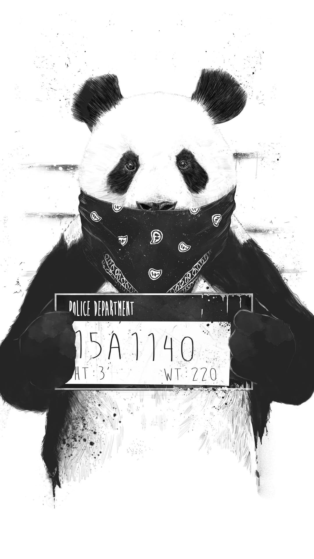 Panda Drawing Wallpapers - Top Free Panda Drawing Backgrounds ...