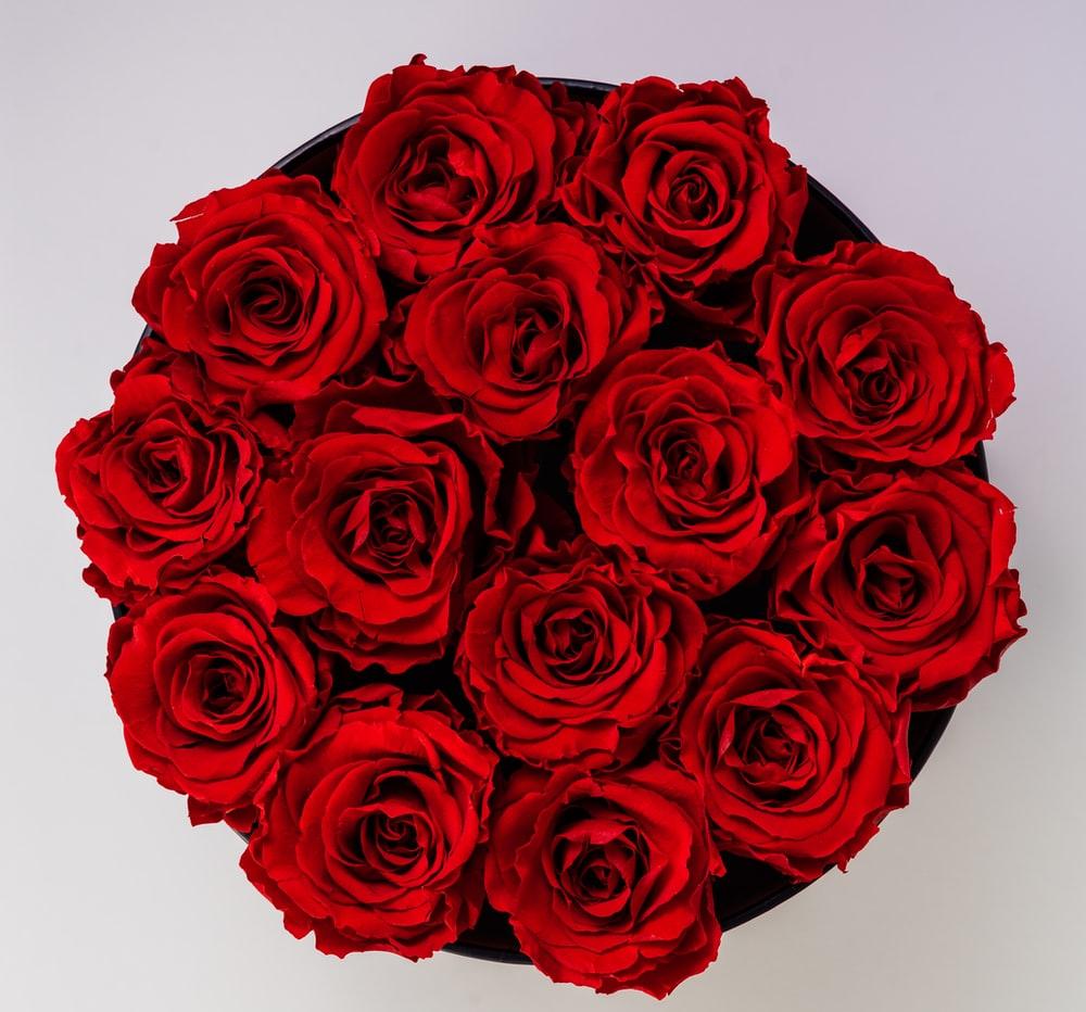 Red Rose Bouquet Wallpapers - Top Free Red Rose Bouquet Backgrounds ...