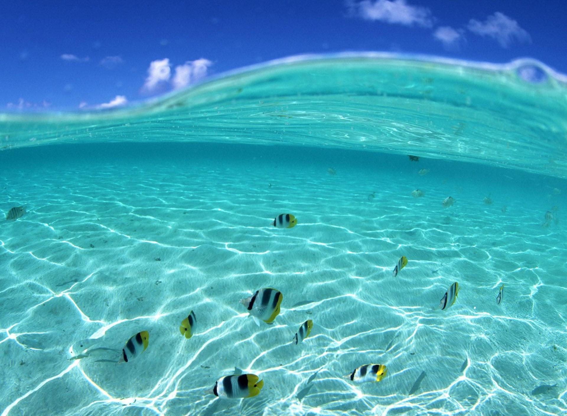 Crystal Clear Ocean Wallpapers - Top Free Crystal Clear Ocean ...