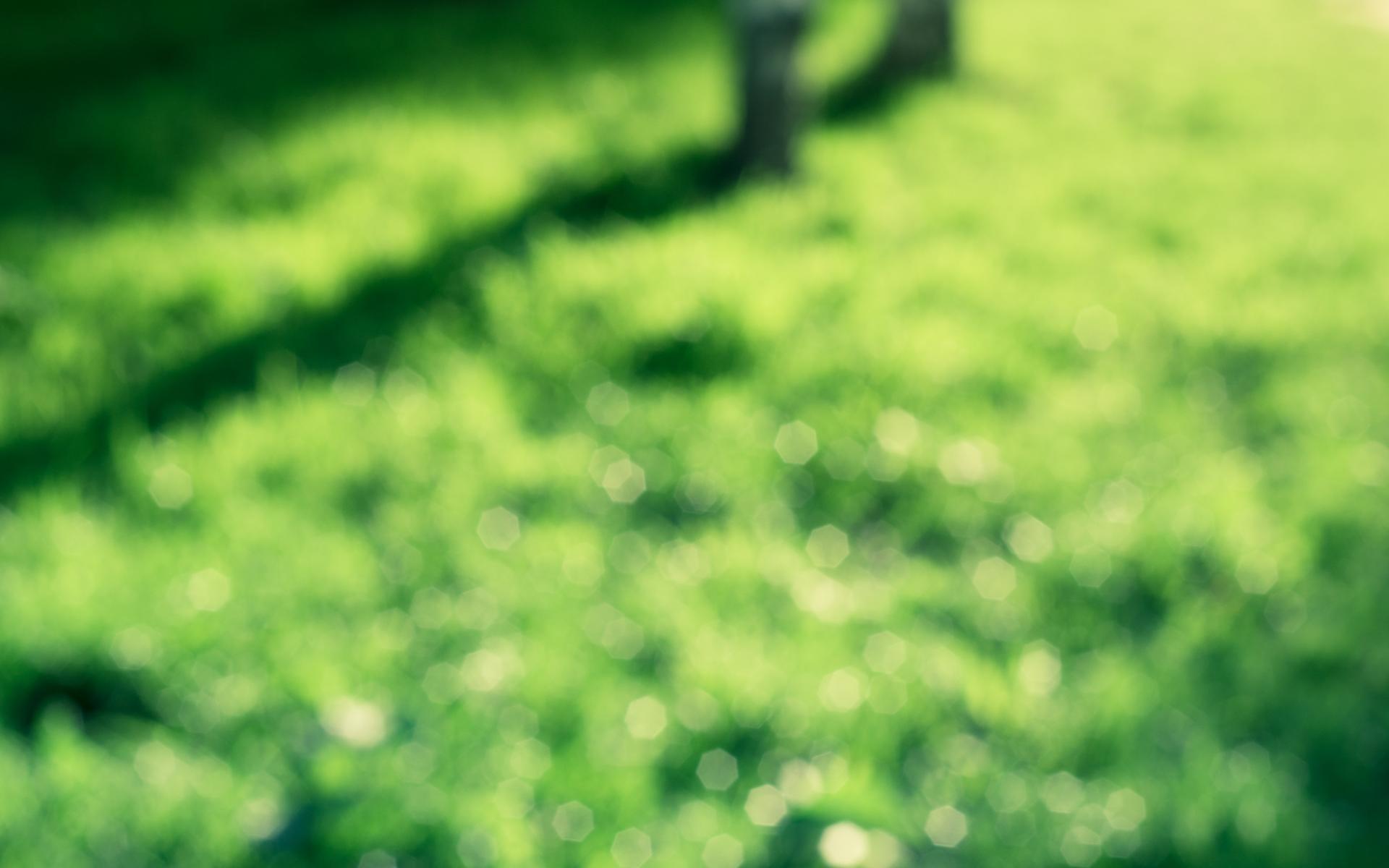 Blurred Grass Wallpapers - Top Free Blurred Grass Backgrounds ...