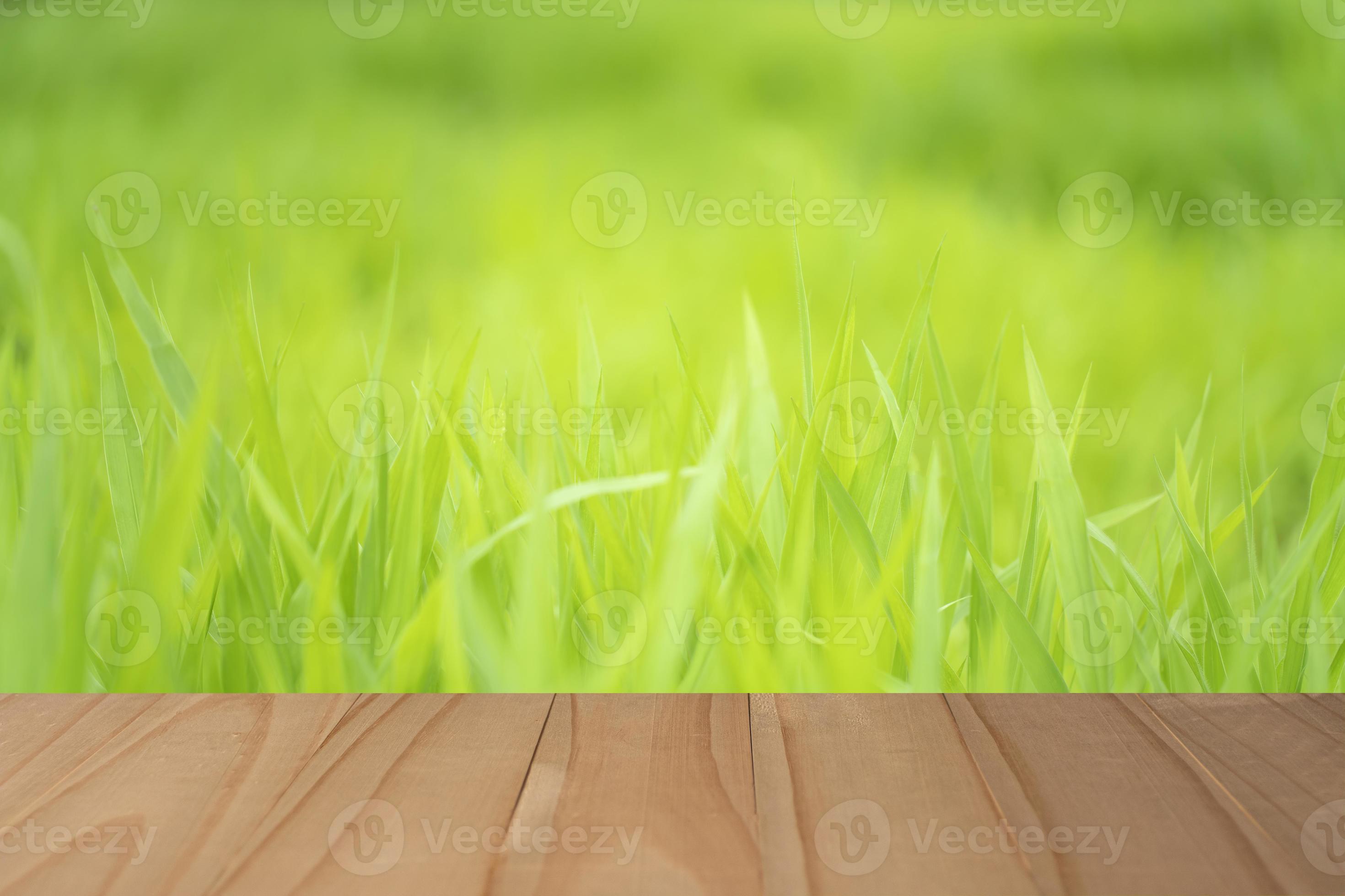 Blurred Grass Wallpapers - Top Free Blurred Grass Backgrounds ...