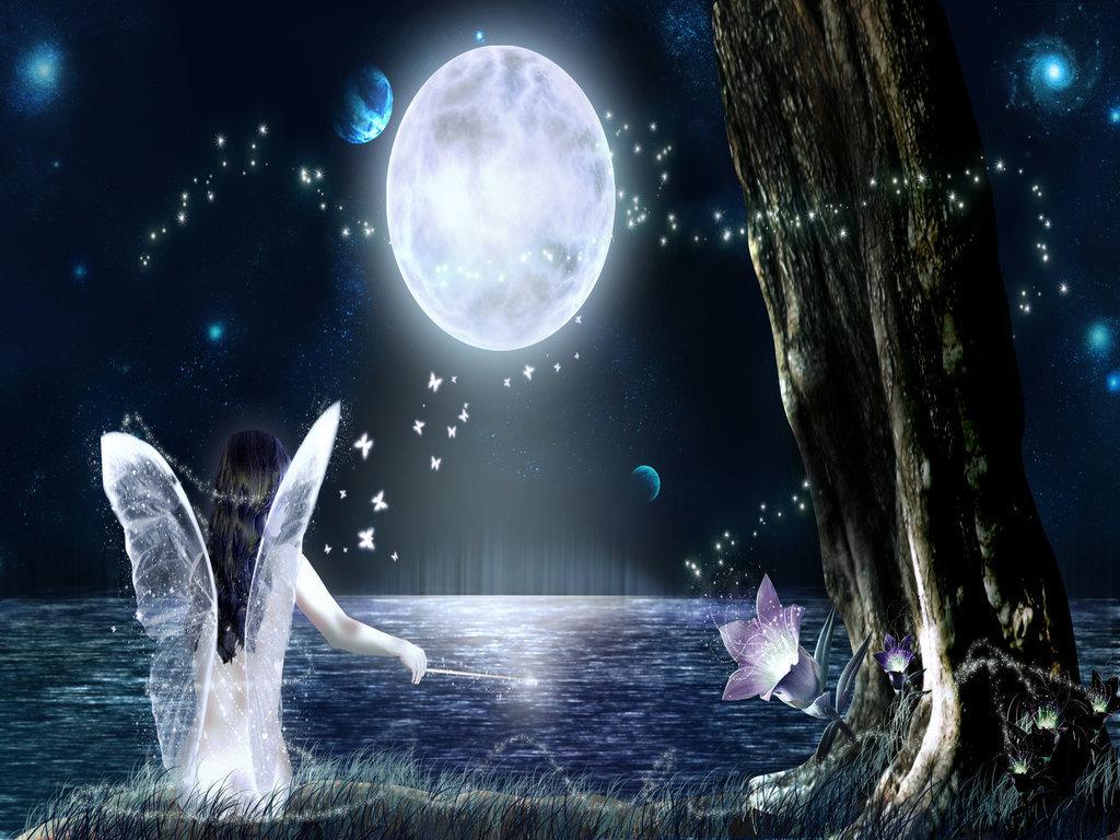 Night Fairy Wallpapers - Top Free Night Fairy Backgrounds - WallpaperAccess