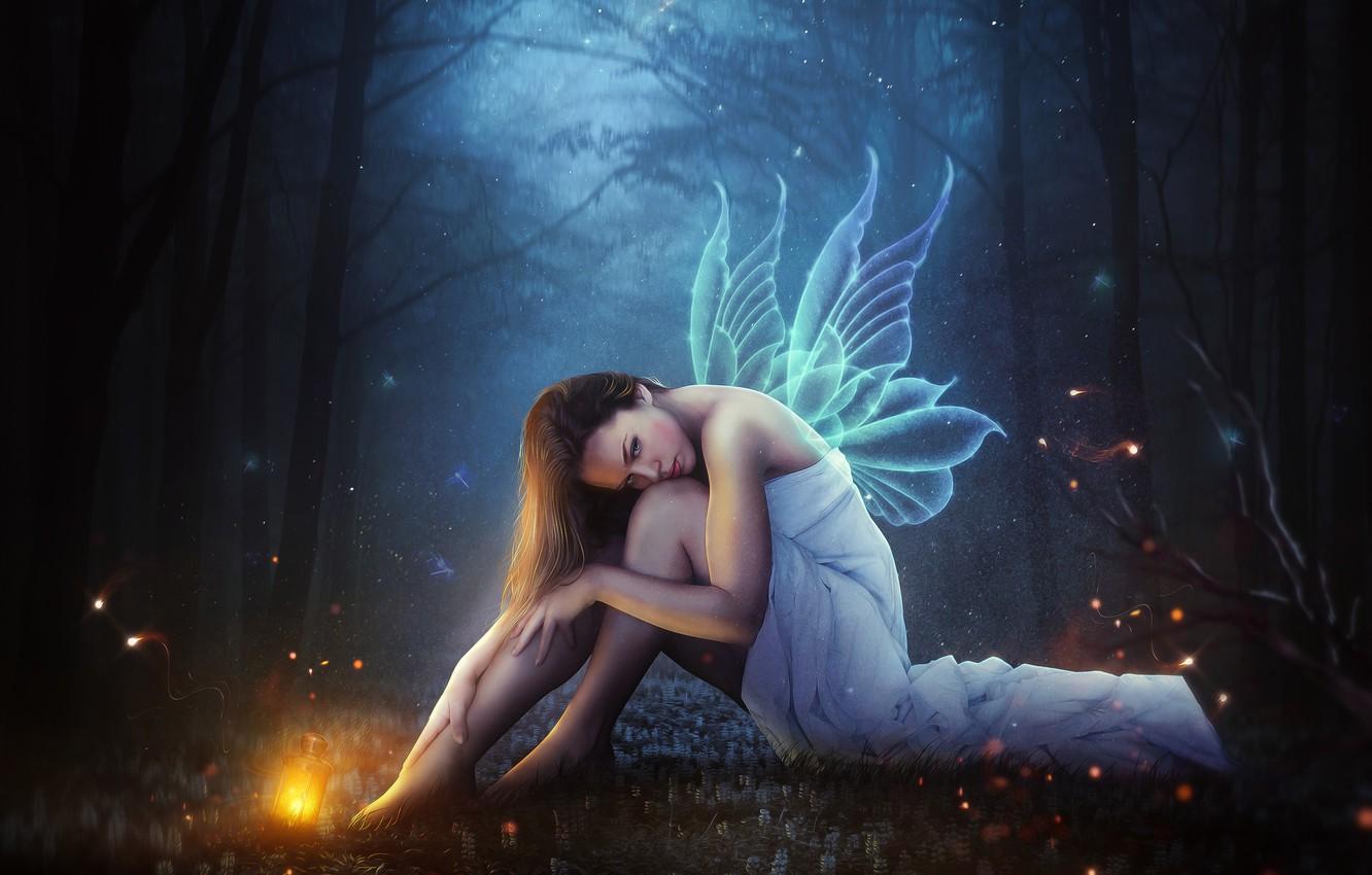 Night Fairy Wallpapers - Top Free Night Fairy Backgrounds - WallpaperAccess