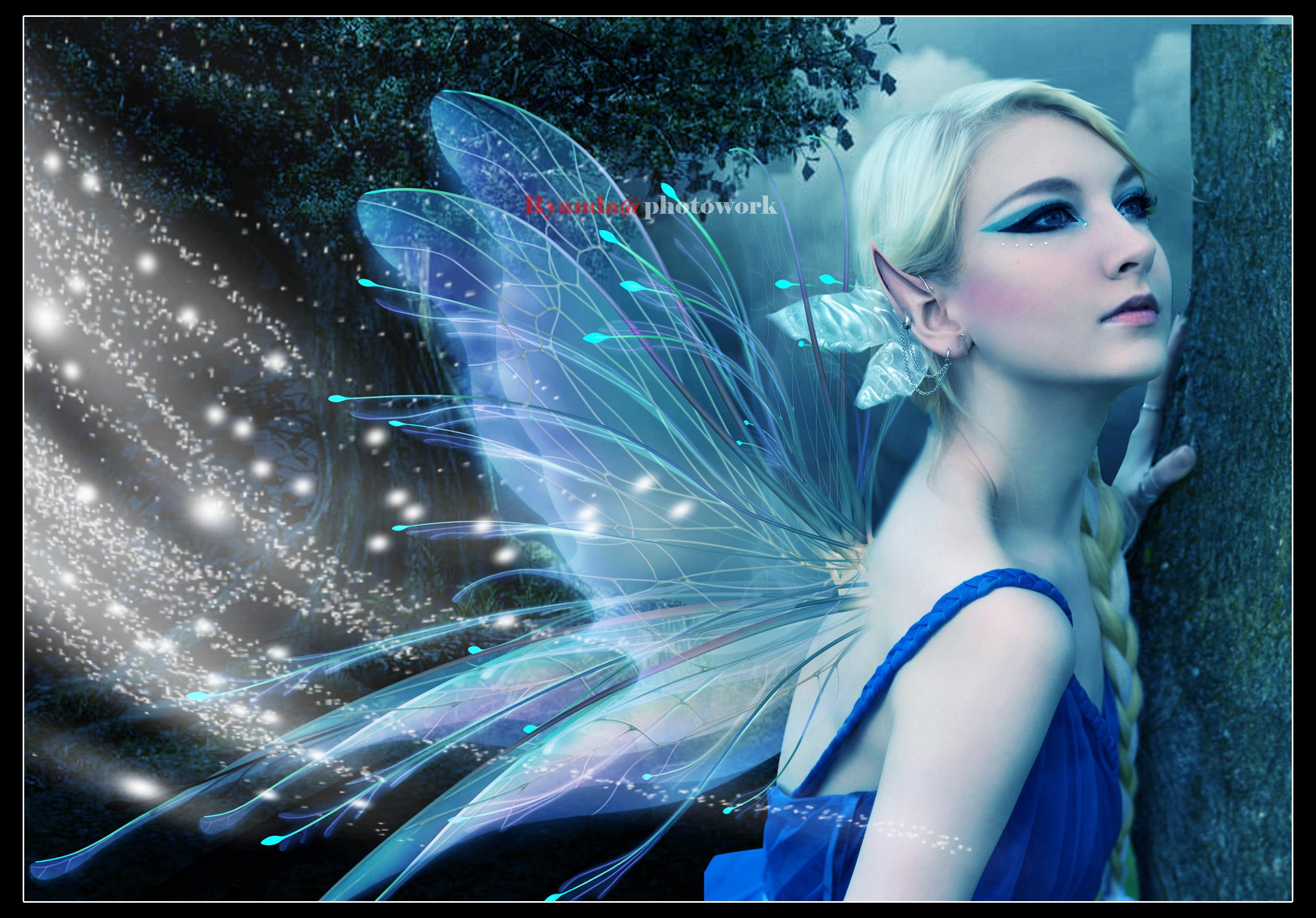 Night Fairy Wallpapers - Top Free Night Fairy Backgrounds - WallpaperAccess