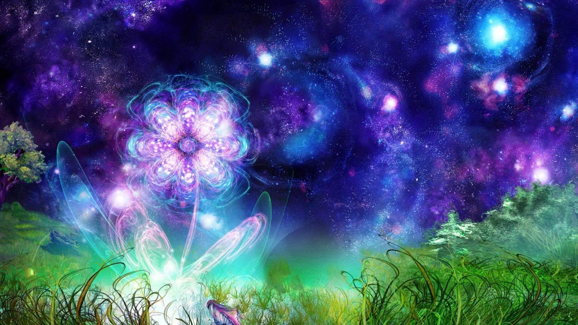 Night Fairy Wallpapers - Top Free Night Fairy Backgrounds - WallpaperAccess