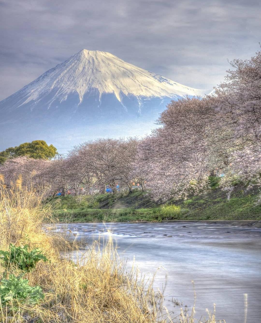 Shizuoka Wallpapers - Top Free Shizuoka Backgrounds - WallpaperAccess