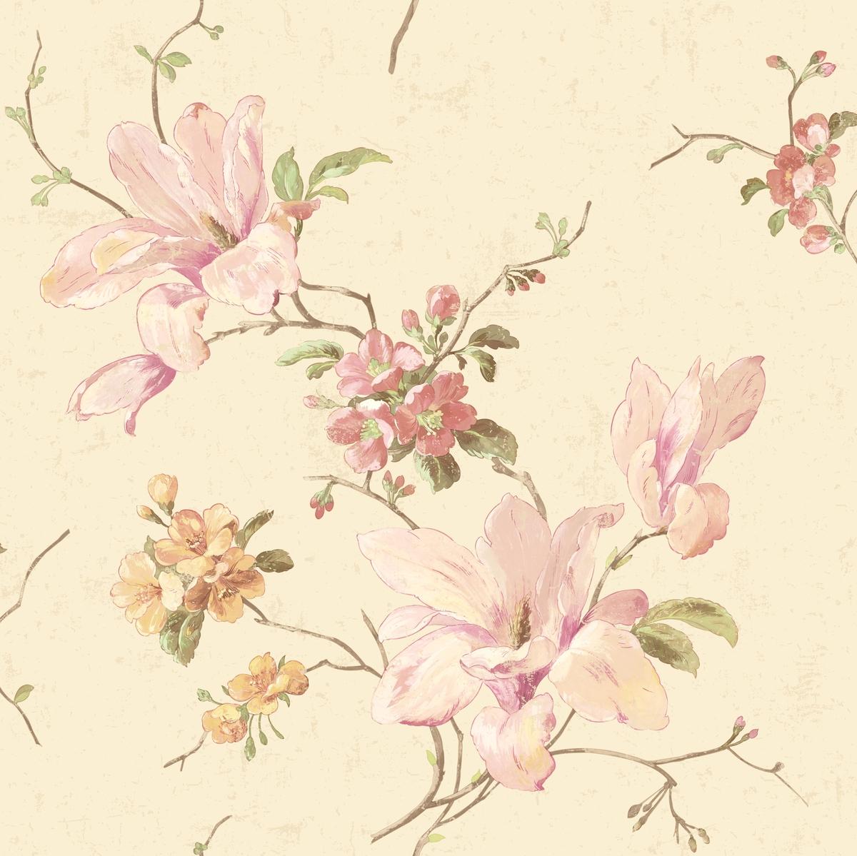 Sweet Magnolias Wallpapers - Top Free Sweet Magnolias Backgrounds ...