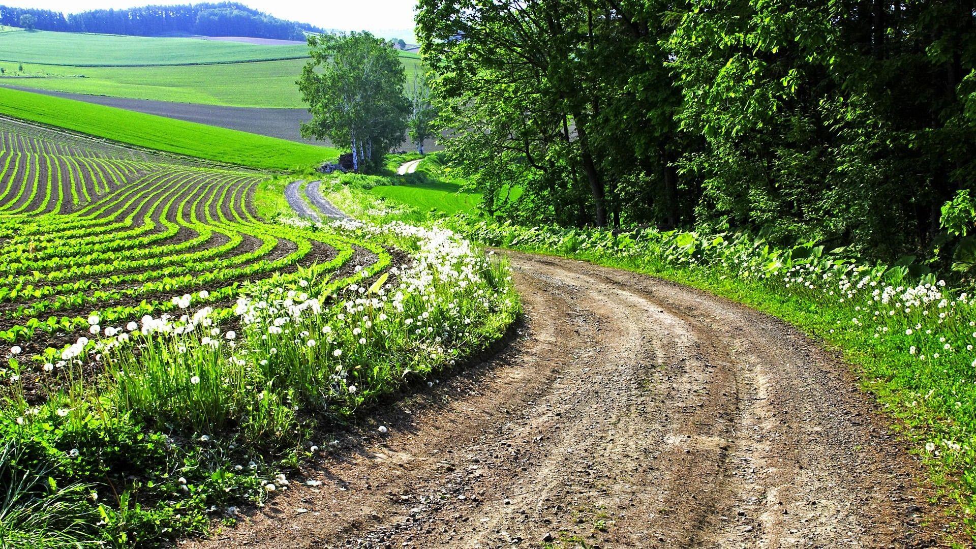 1920X1080 HD Farm Wallpapers - Top Free 1920X1080 HD Farm Backgrounds ...