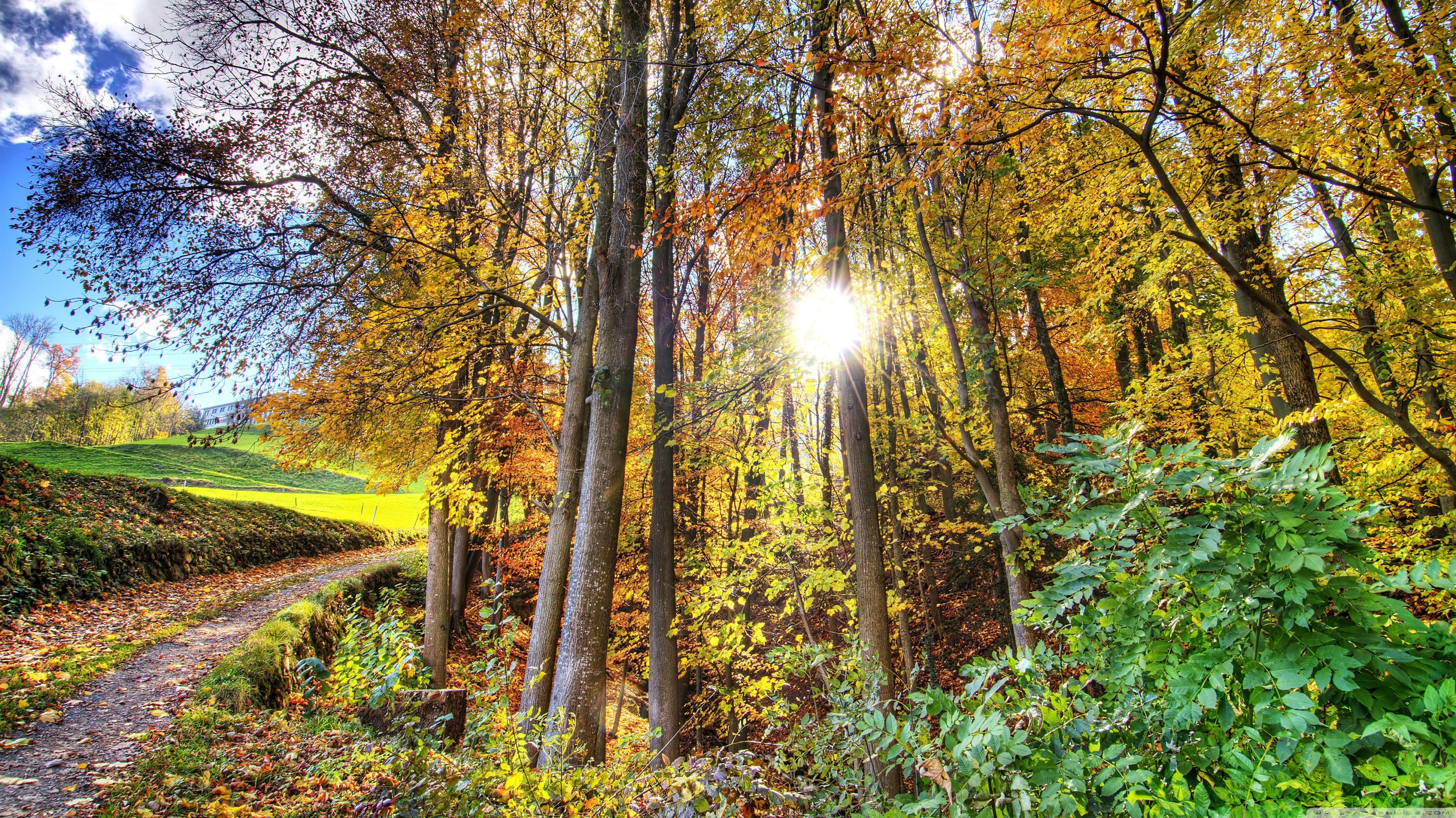 4K Ultra HD HDR Wallpapers - Top Free 4K Ultra HD HDR Backgrounds ...