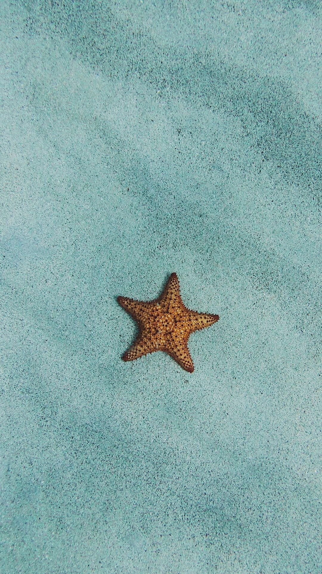 Among Us Polus Wallpapers - Top Free Among Us Polus Backgrounds ...