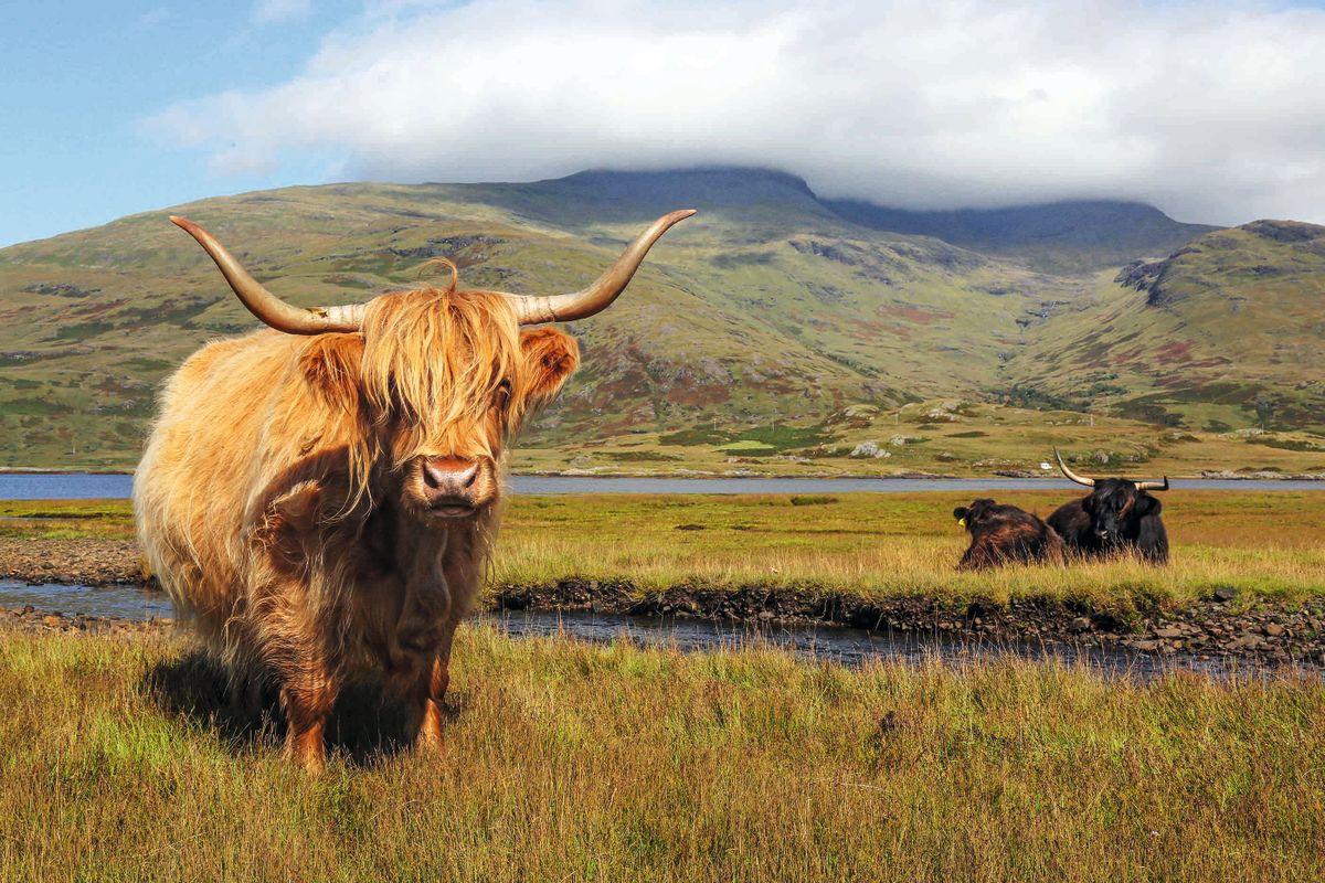 Hebrides Wallpapers - Top Free Hebrides Backgrounds - WallpaperAccess