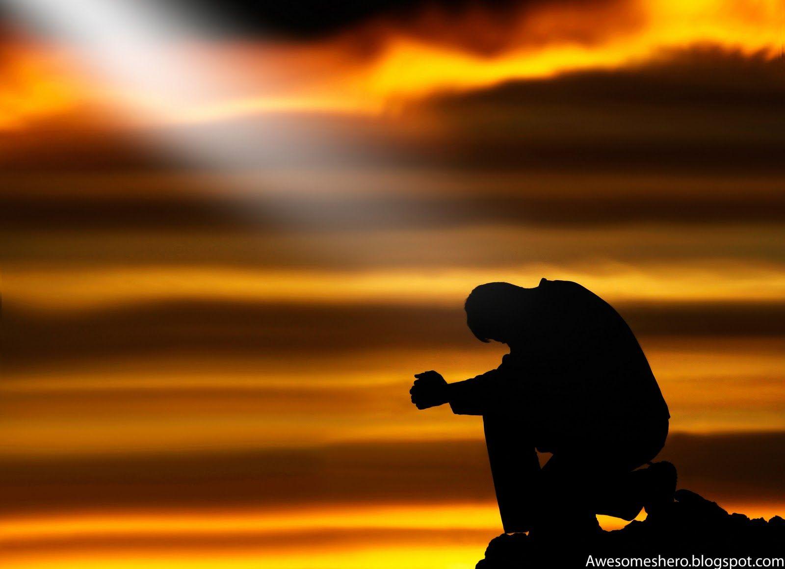 Felling Wallpapers - Top Free Felling Backgrounds - WallpaperAccess