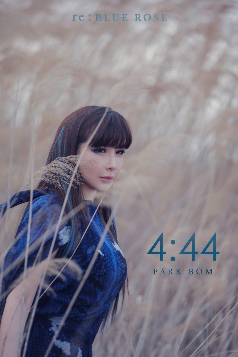 Park Bom Wallpapers - Top Free Park Bom Backgrounds - WallpaperAccess