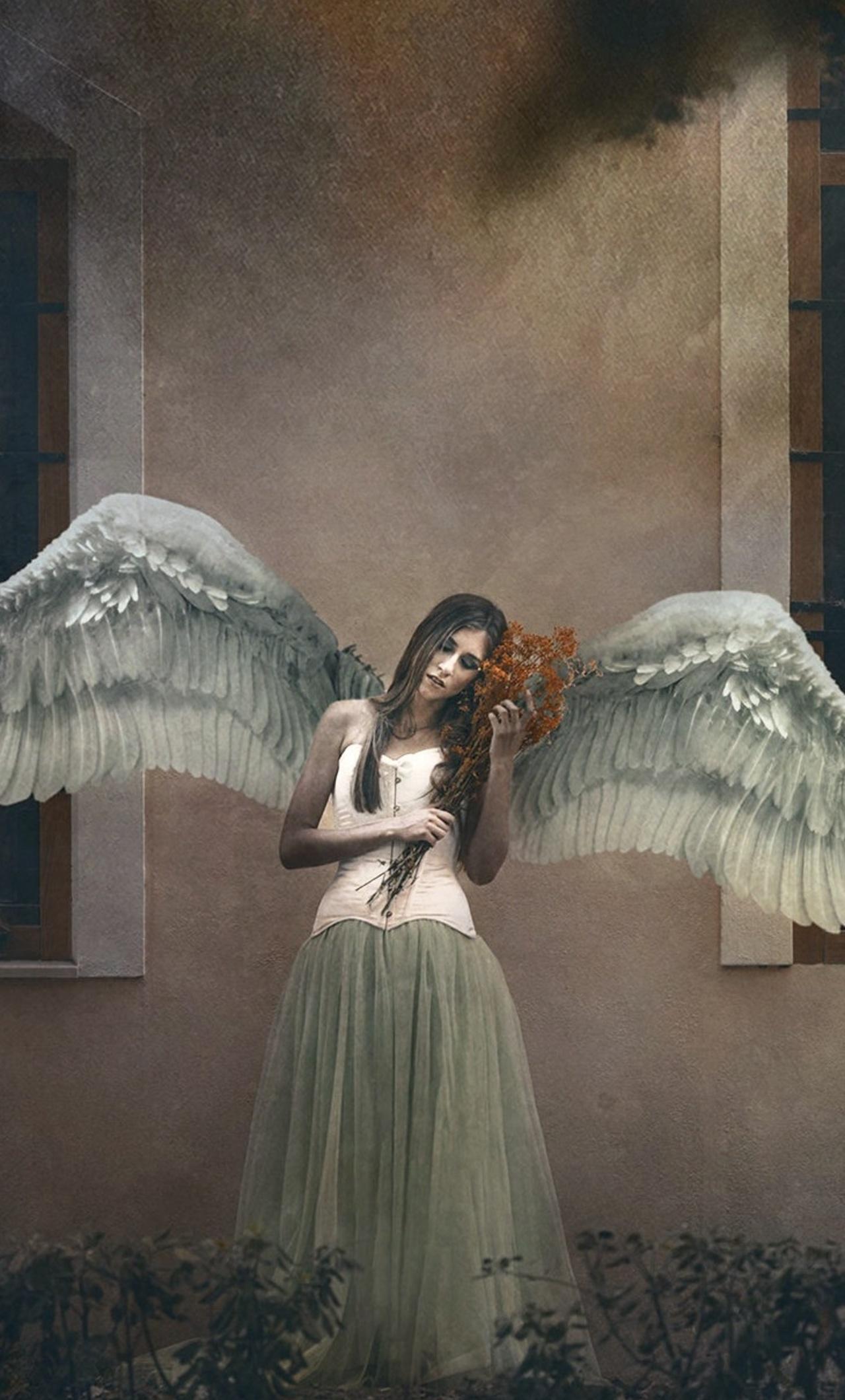 Angel Wings 4K Wallpapers - Top Free Angel Wings 4K Backgrounds ...