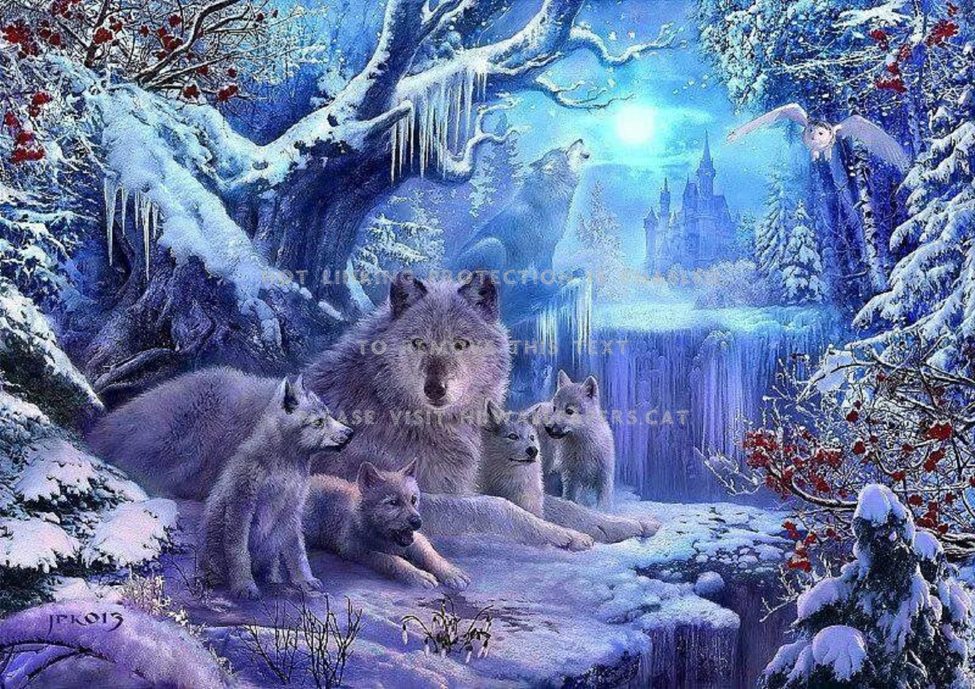Wolf Winter Wallpapers - Top Free Wolf Winter Backgrounds - WallpaperAccess