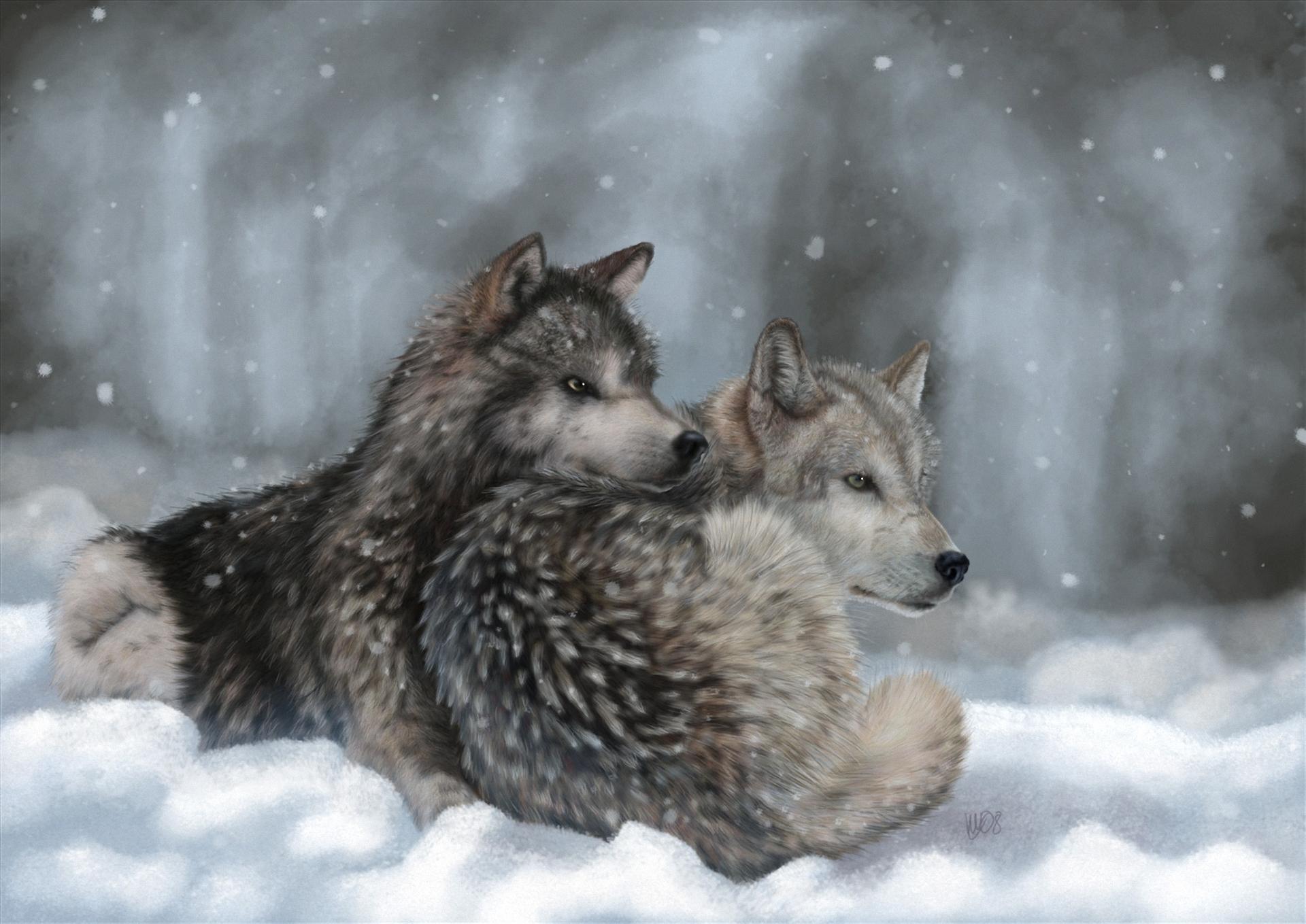 Wolf Winter Wallpapers - Top Free Wolf Winter Backgrounds - WallpaperAccess