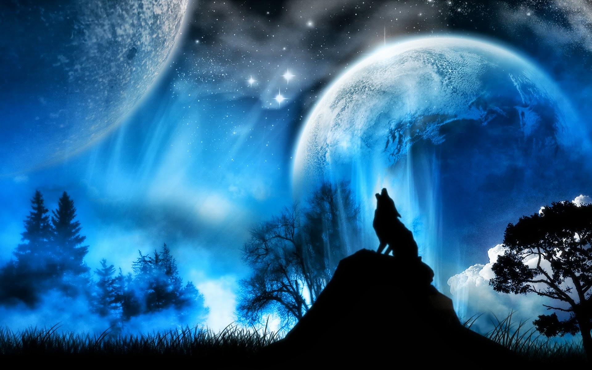 Wolf Winter Wallpapers - Top Free Wolf Winter Backgrounds - WallpaperAccess