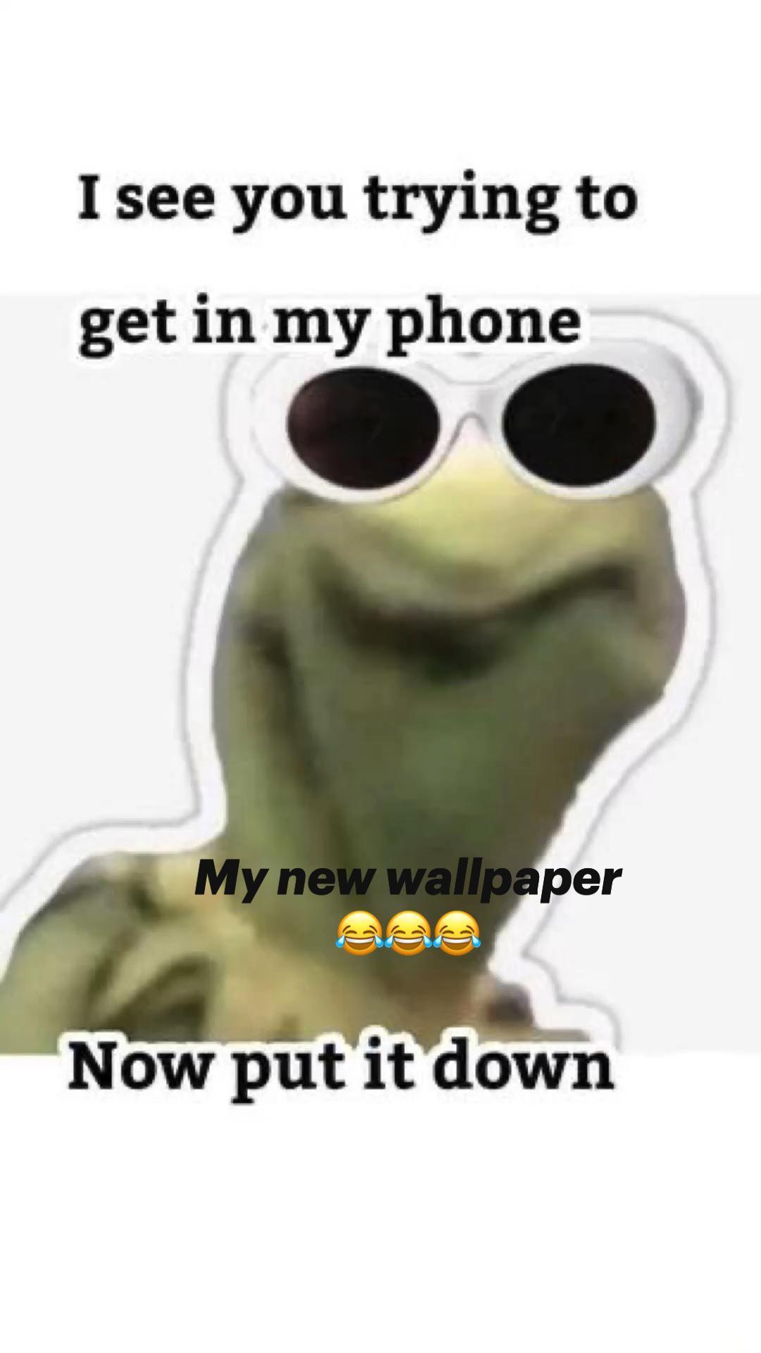 Trying Wallpapers - Top Free Trying Backgrounds - WallpaperAccess